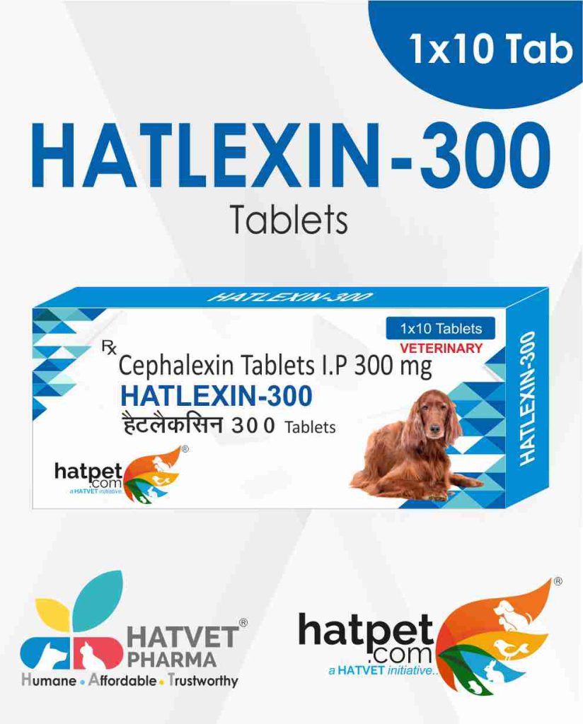 HATLEXIN – 300 Tab – HATVET PHARMA