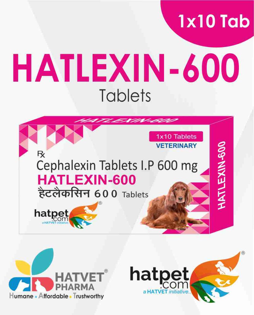 HATLEXIN – 600 Tab – HATVET PHARMA