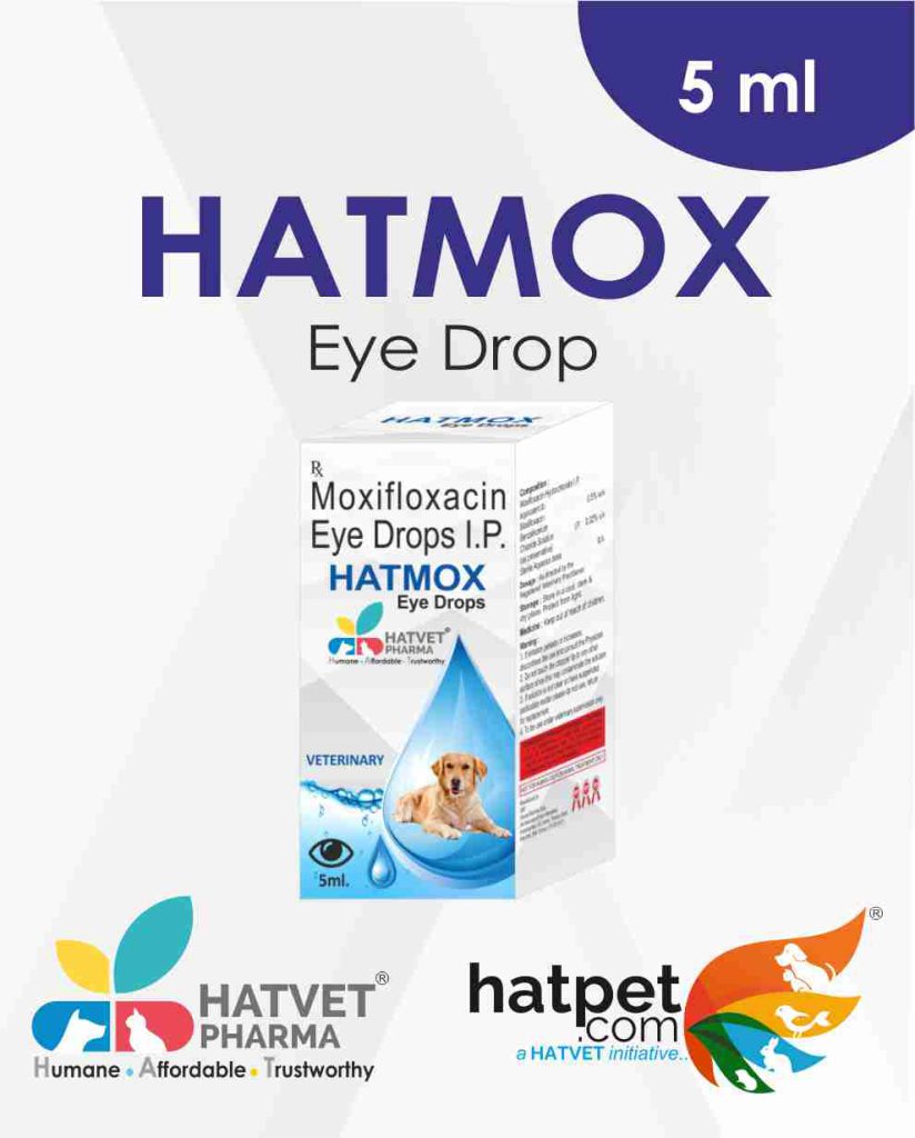 HATMOX Eye Drop – HATVET PHARMA