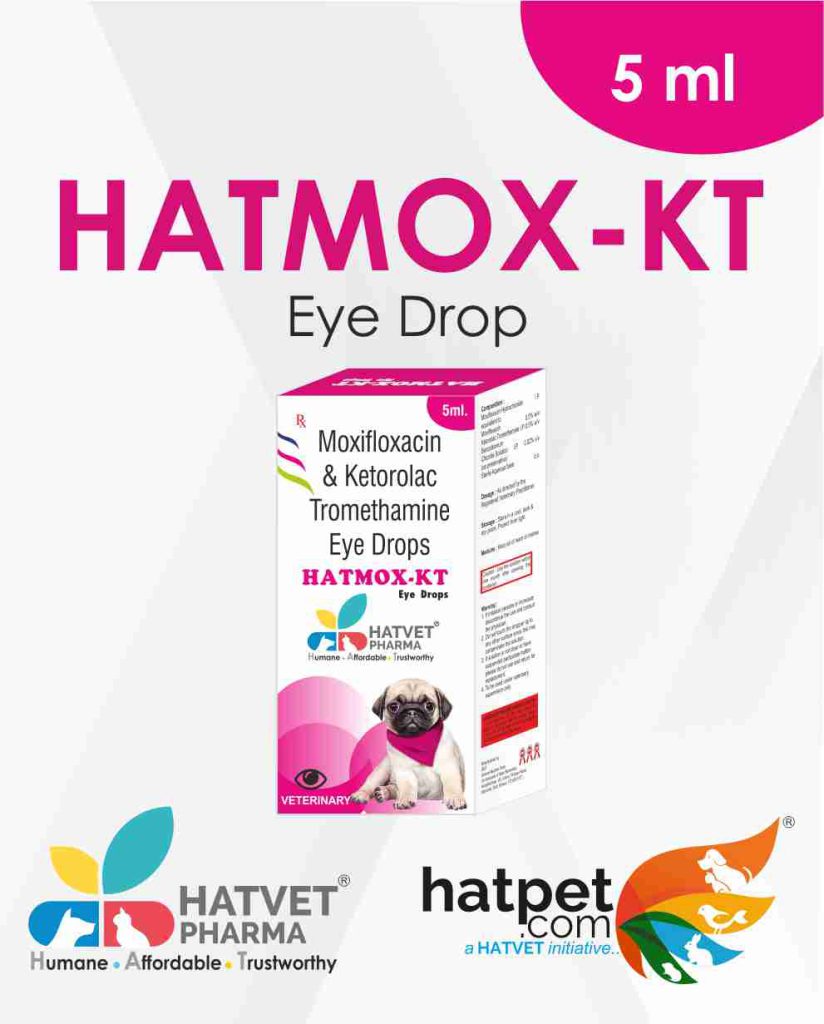 HATMOX-KT Eye Drop – HATVET PHARMA