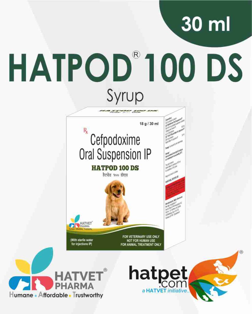 HATPOD – 100 DS Syp – HATVET PHARMA