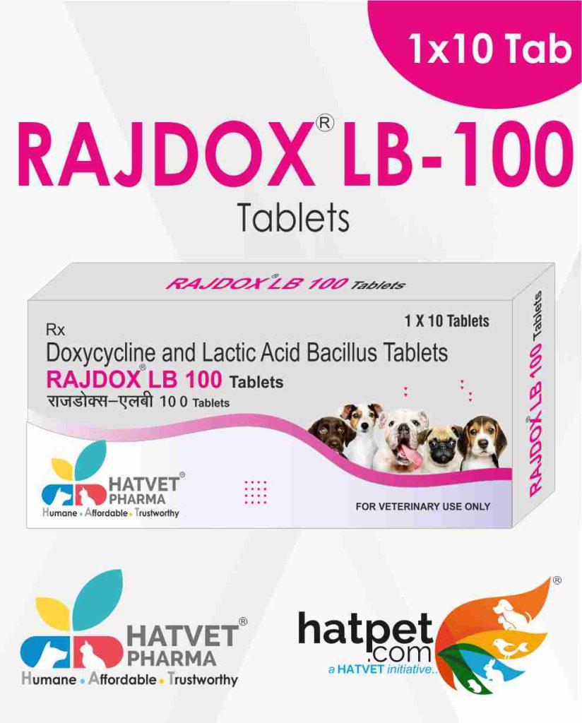 RAJDOX-LB 100 Tab – HATVET PHARMA